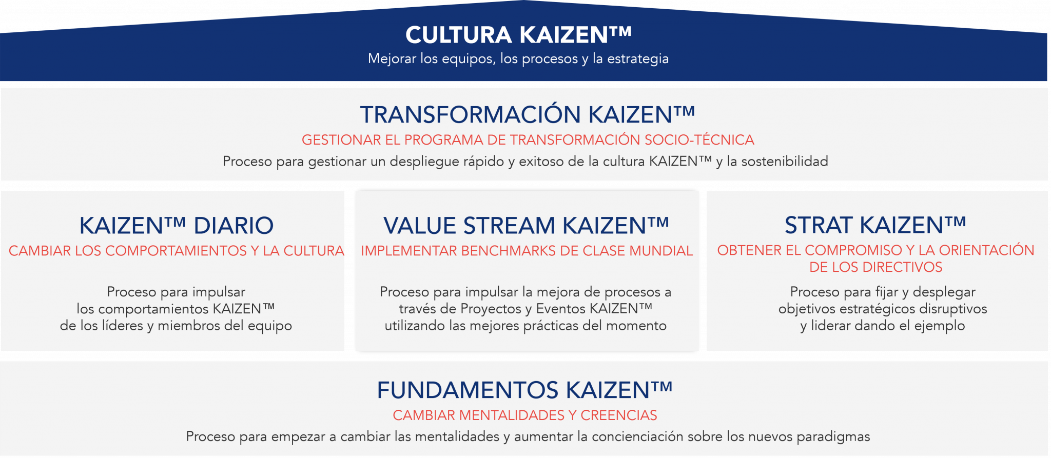 Gestión del cambio con insights Danaher | Artículo KAIZEN™