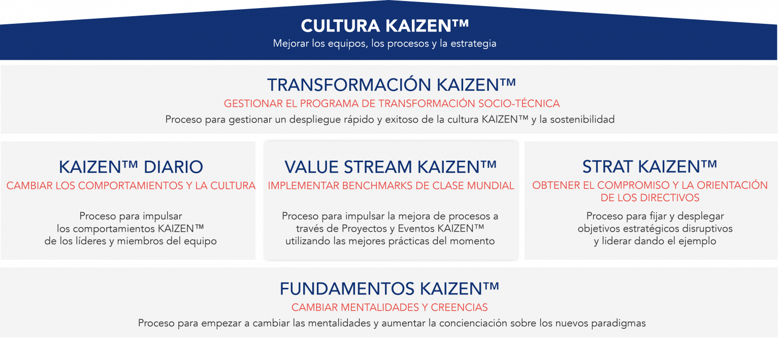 Gestión del cambio con insights Danaher | Artículo KAIZEN™