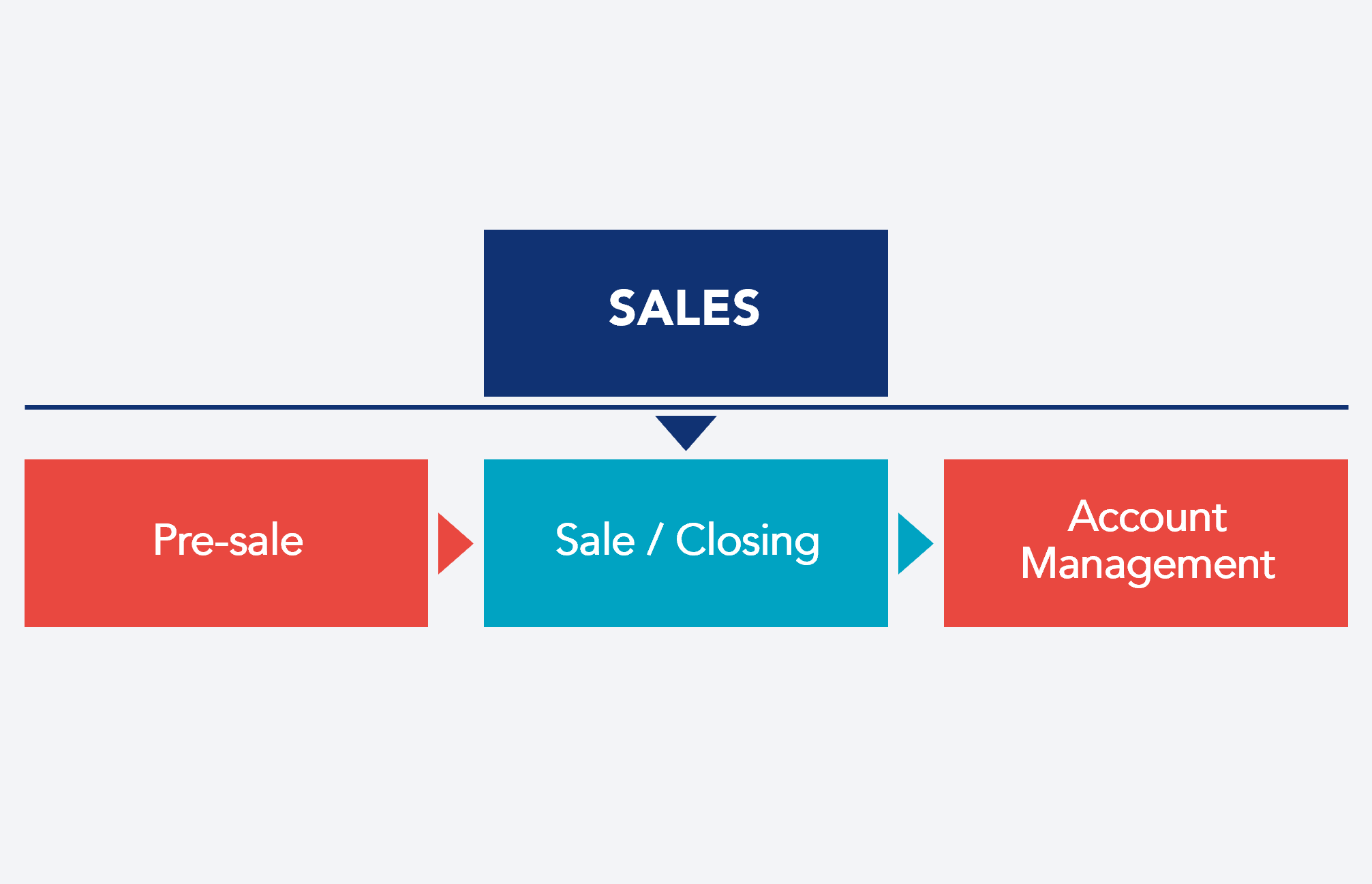 Optimize Your Sales Force Structure for Success | KAIZEN™️