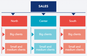 Optimize Your Sales Force Structure for Success | KAIZEN™️