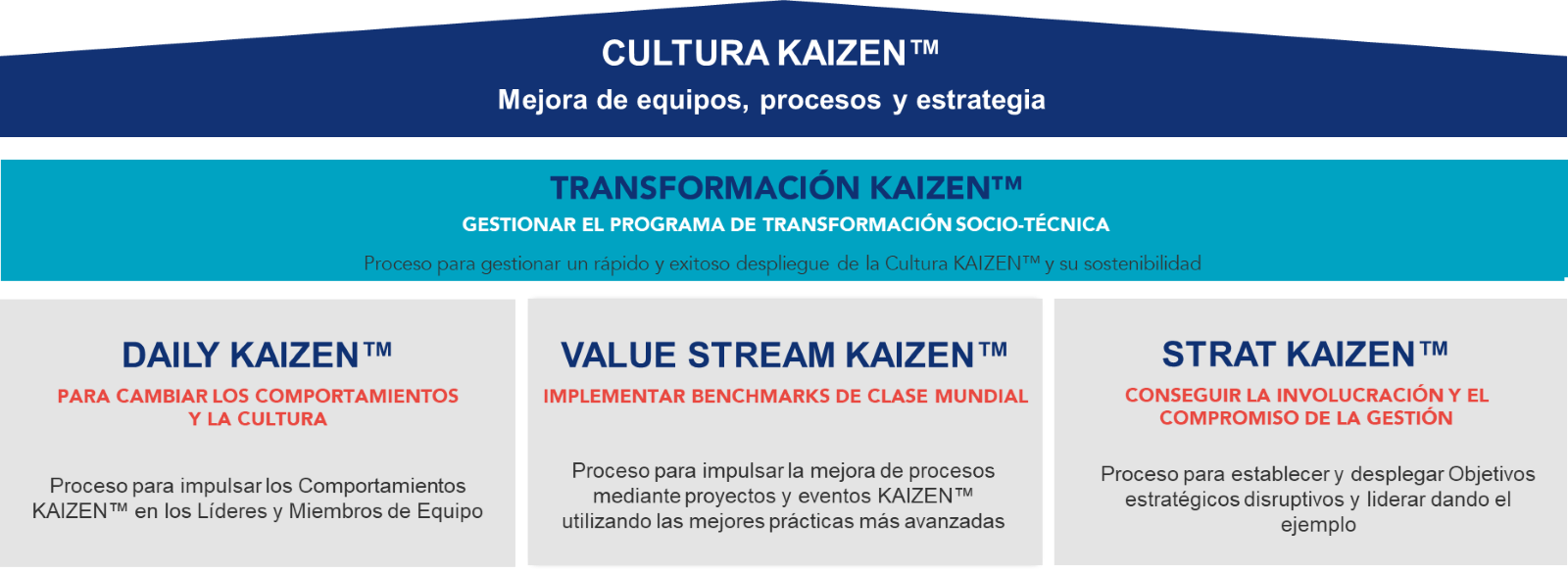 Construye una Cultura de Mejora Continua | Artículo KAIZEN™