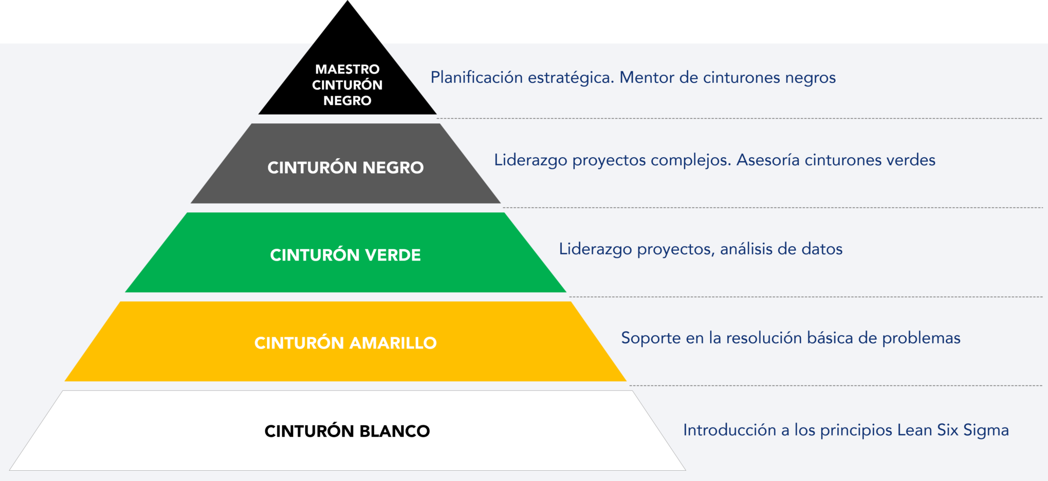 Lean Six Sigma: Guía para la Mejora Continua | Kaizen Lab