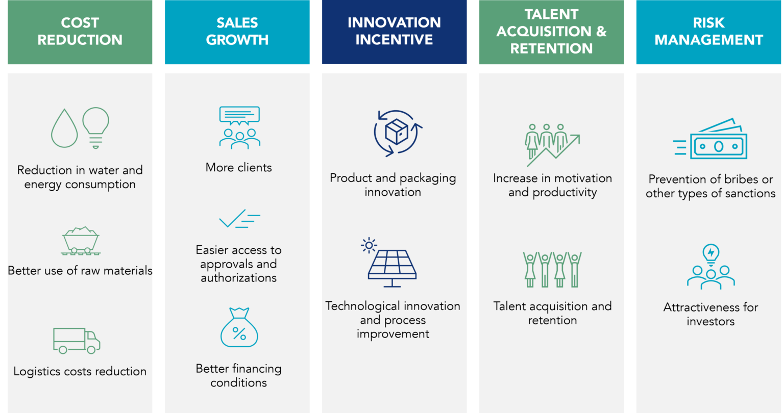 The Importance of a Corporate Sustainability Strategy