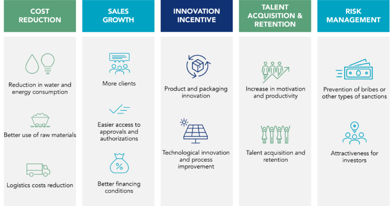 The Importance of a Corporate Sustainability Strategy