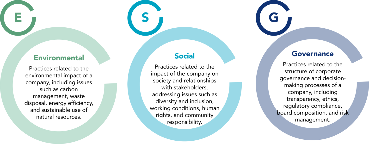 The Importance of a Corporate Sustainability Strategy