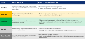 Understanding the Lean Six Sigma Belts | Article KAIZEN™