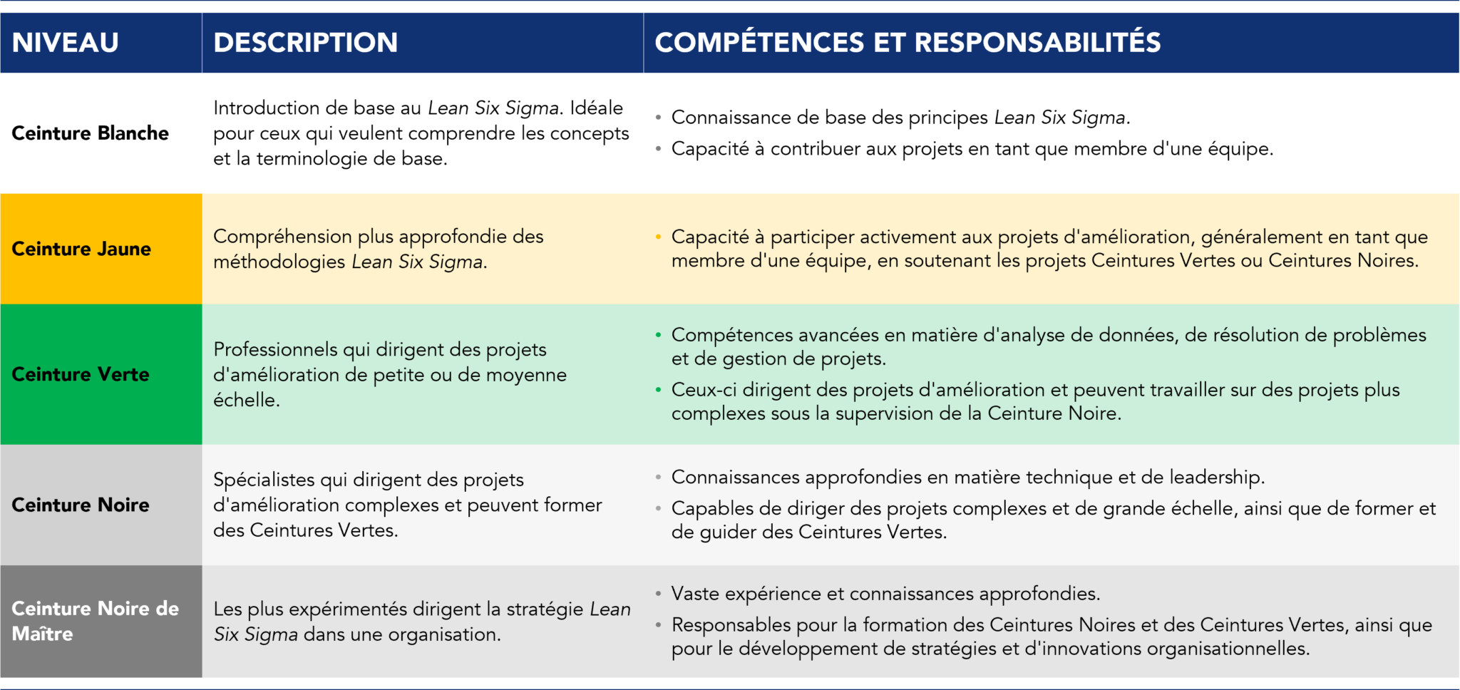Comprendre les ceintures Lean Six Sigma | Article KAIZEN™