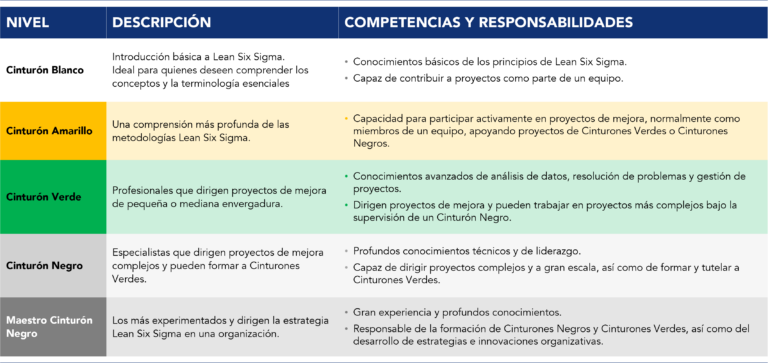 Descubre los Niveles de Lean Six Sigma Belts | KAIZEN™