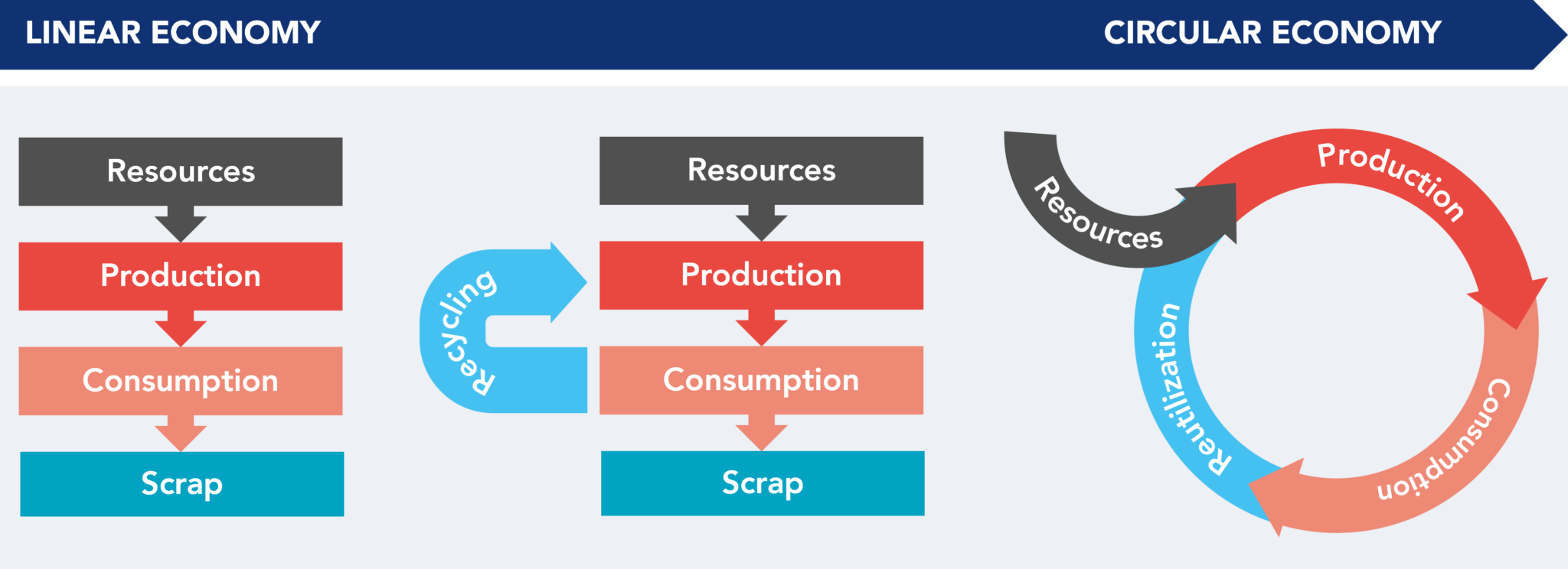 Circular Economy and Life Cycle Assessment | KAIZEN™ Article
