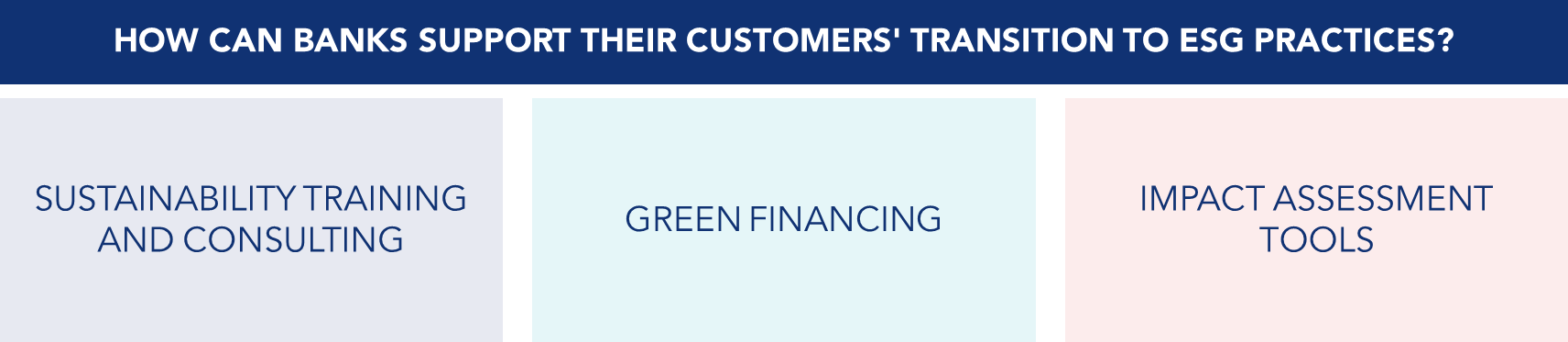 Sustainability in the Banking Sector | KAIZEN™ Article